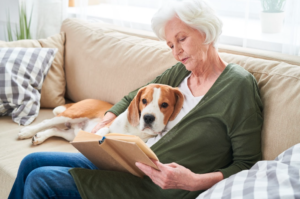 The Power of Reading for Older Adults and How Libraries Can Help ...